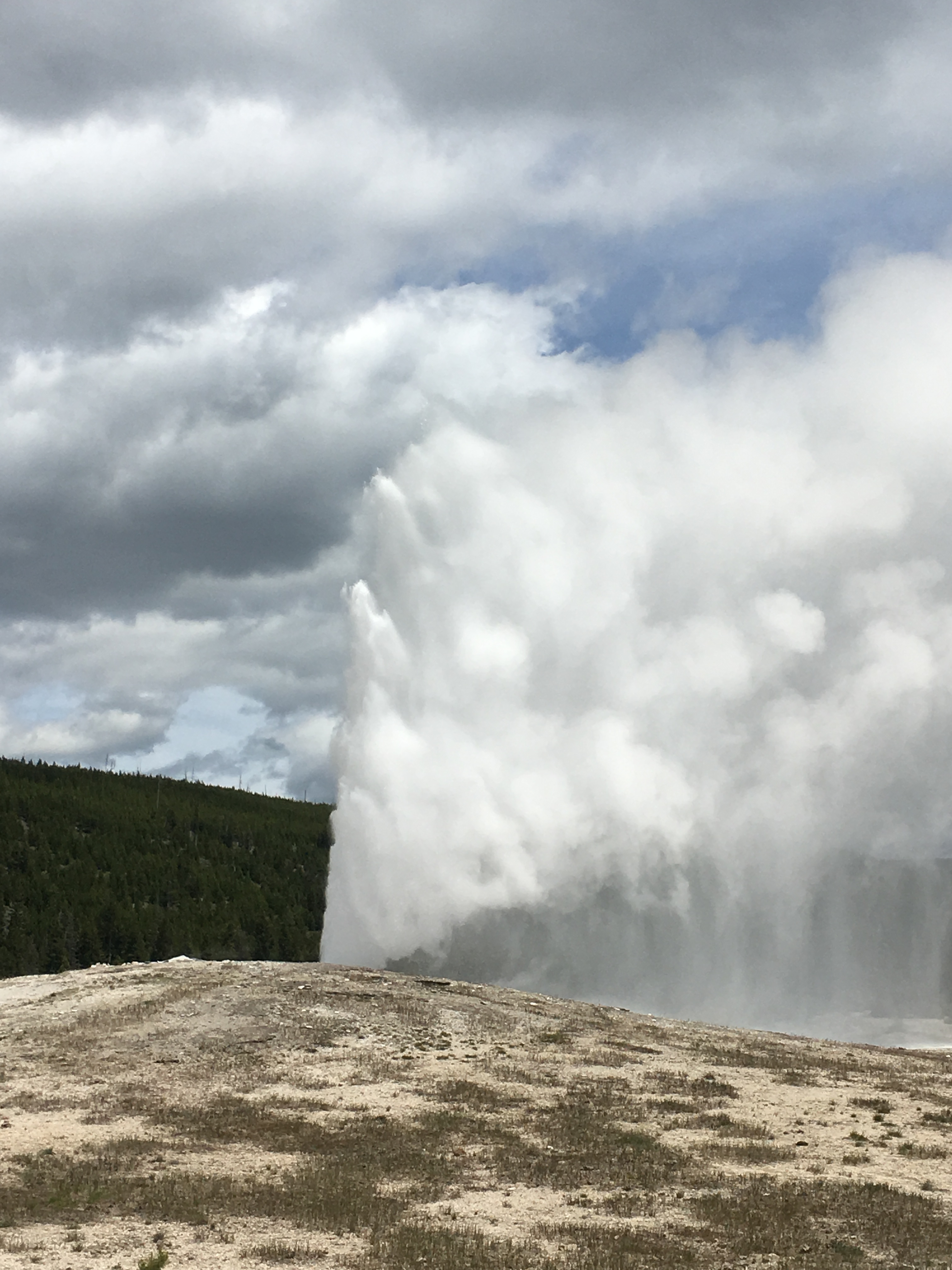 Yellowstone National Park- Ring of Fire Tour – Minnie Out West